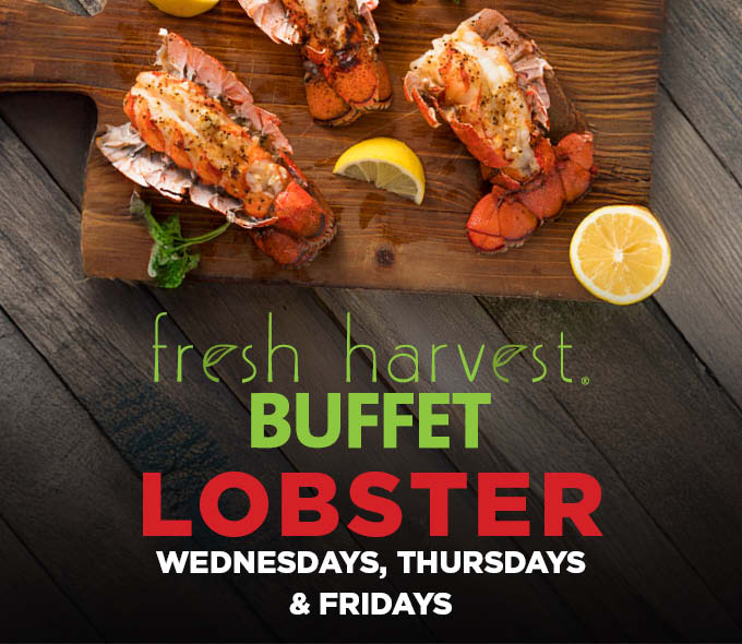 Fresh Harvest Buffet | Hard Rock Tampa